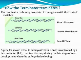 TERMINATOR SEED TECHNOLOGY | PPTX