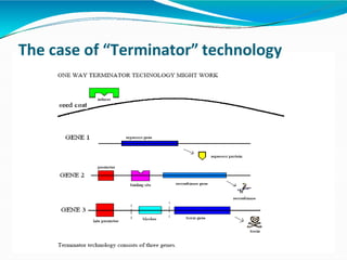 TERMINATOR SEED TECHNOLOGY | PPTX