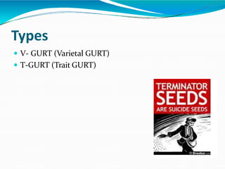 TERMINATOR SEED TECHNOLOGY | PPTX