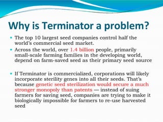 TERMINATOR SEED TECHNOLOGY | PPTX