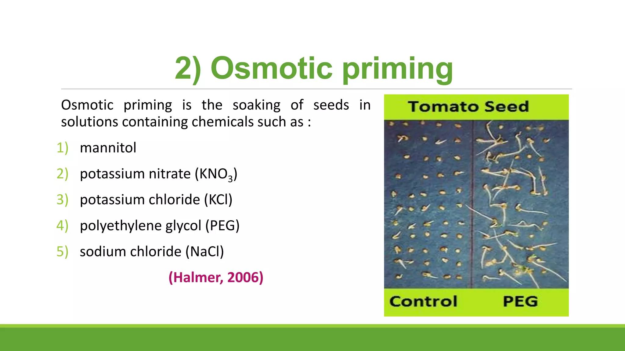 Seed Priming | PDF