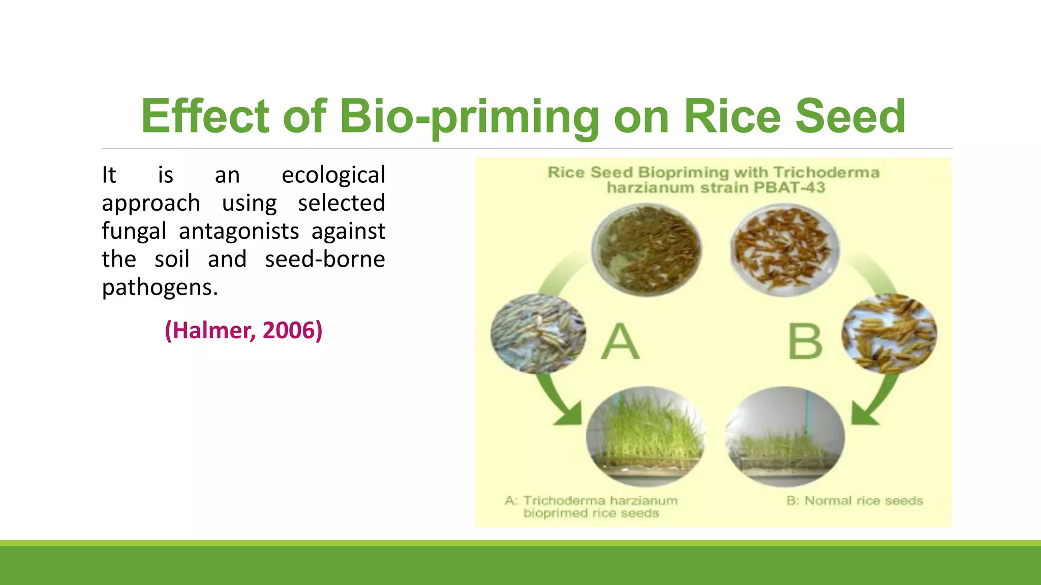 Seed Priming | PDF