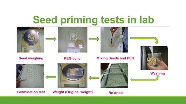 Seed Priming | PDF