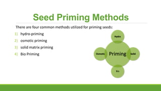 Seed Priming | PDF