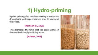 Seed Priming | PDF