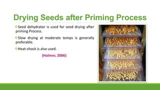 Seed Priming | PDF