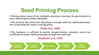 Seed Priming | PDF