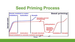Seed Priming | PDF