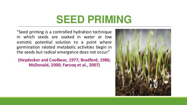 Seed Priming