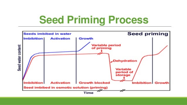 Seed Priming