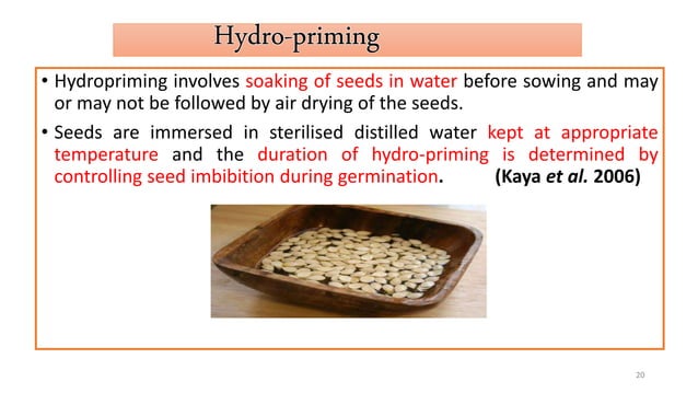 Seed priming:- A TOOL FOR QUALITY SEED PRODUCTION | PPTX