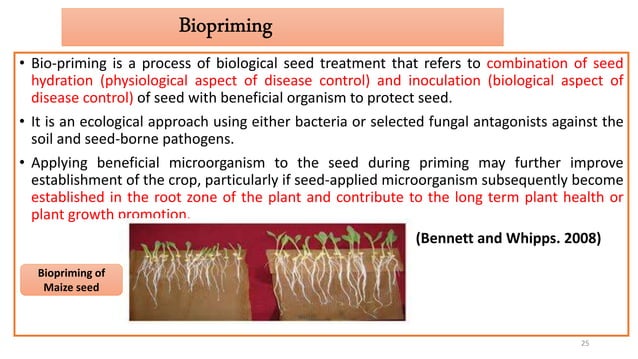 Seed priming:- A TOOL FOR QUALITY SEED PRODUCTION | PPTX