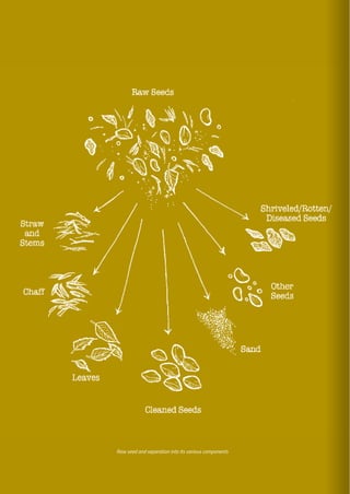 Seed process | PDF