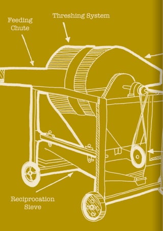 Seed process | PDF | Agriculture | Industries