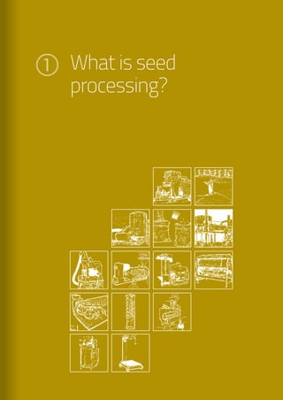 Seed process | PDF | Agriculture | Industries