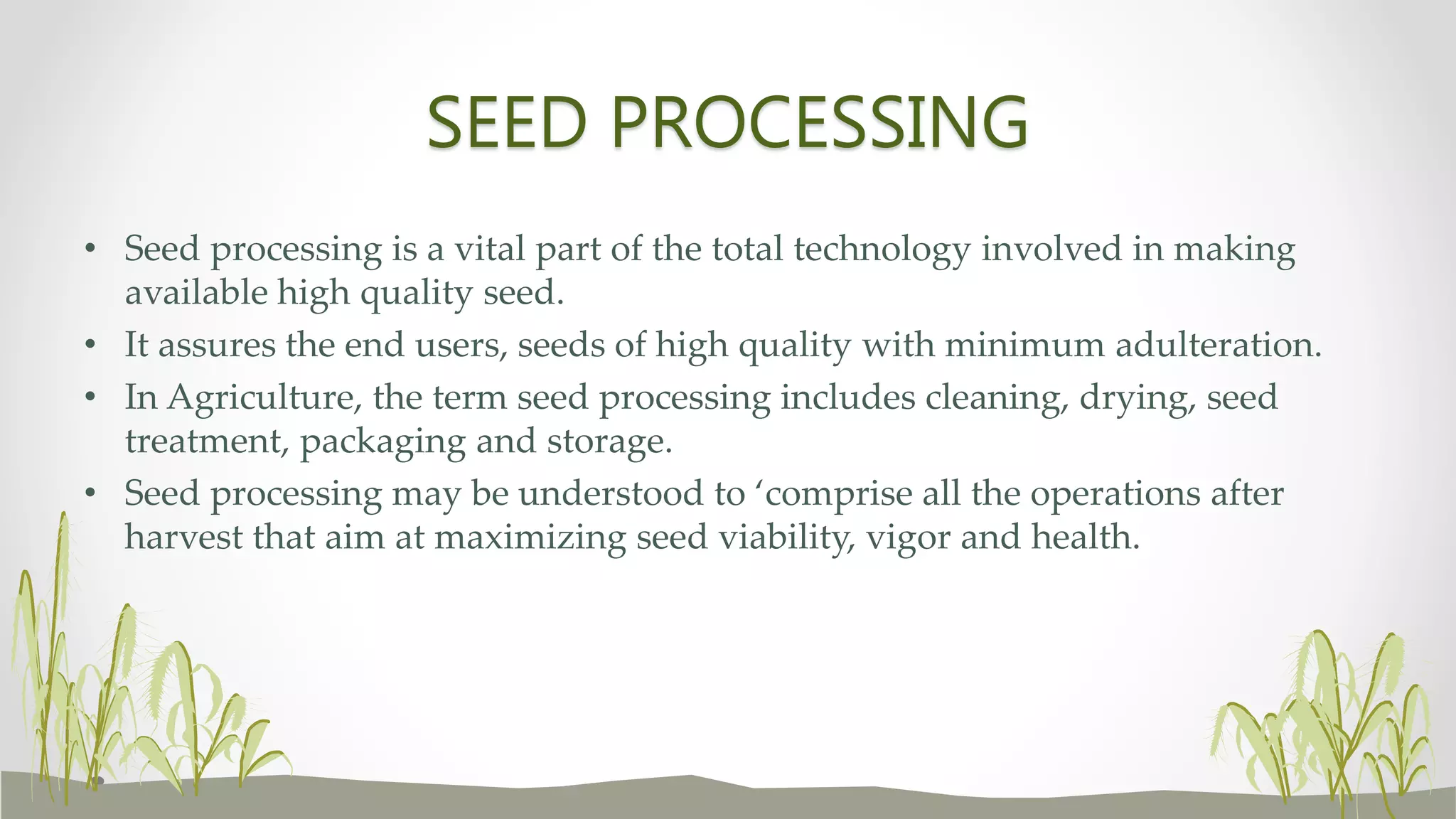Seed processing and it's steps | PPTX