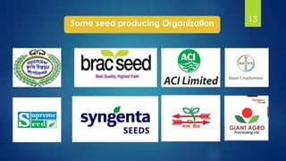 Seed processing | PDF