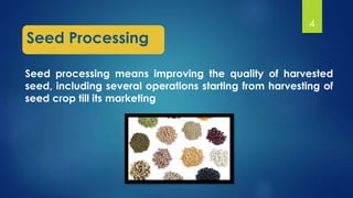 Seed processing | PDF