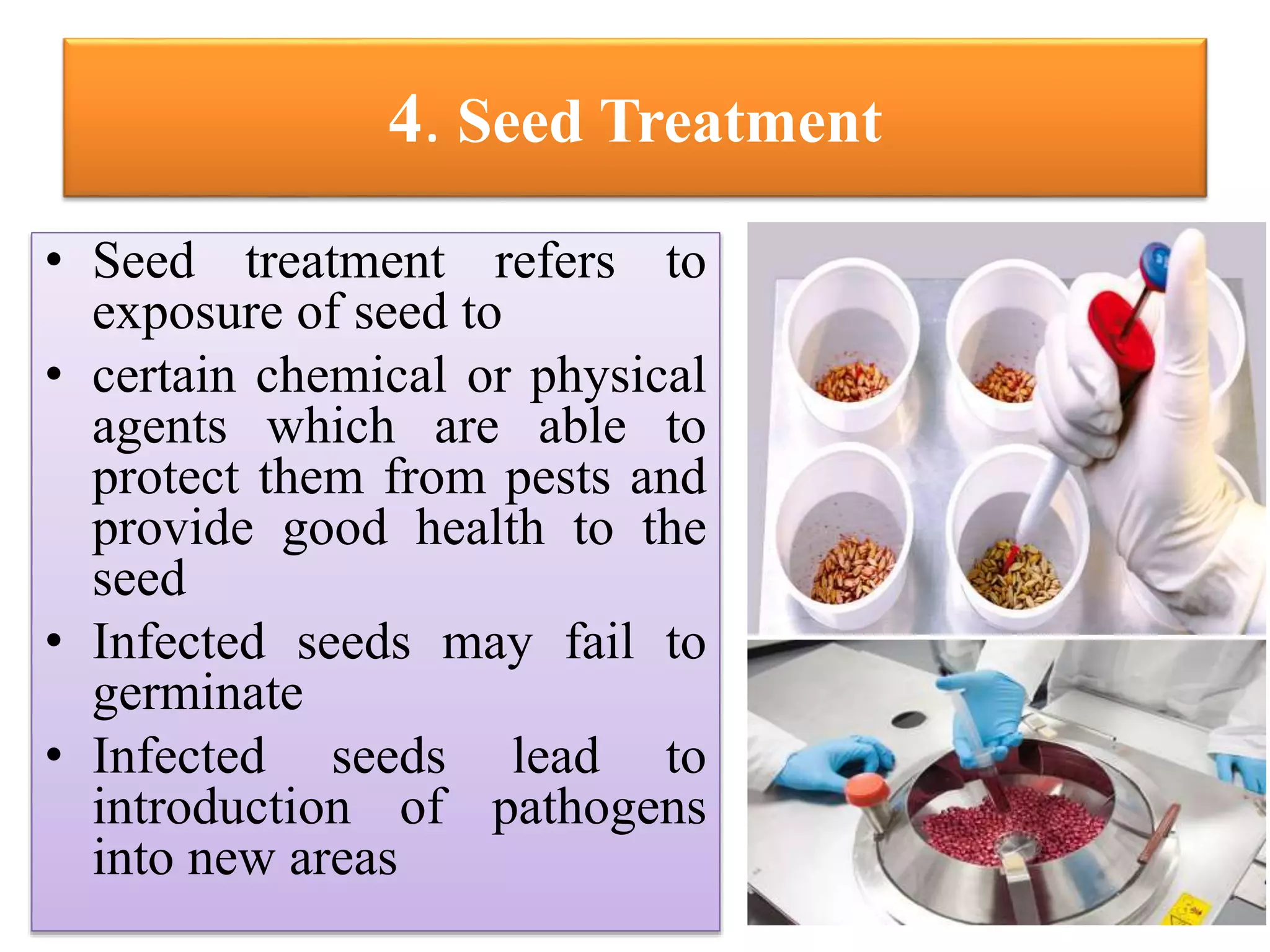 Seed processing and storage | PPTX