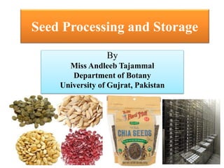 Seed processing and storage | PPTX