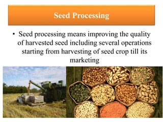 Seed processing and storage | PPTX