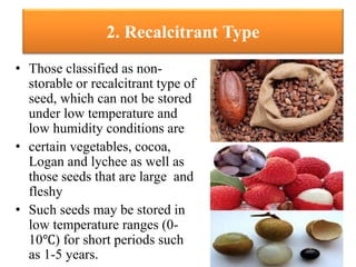 Seed processing and storage | PPTX