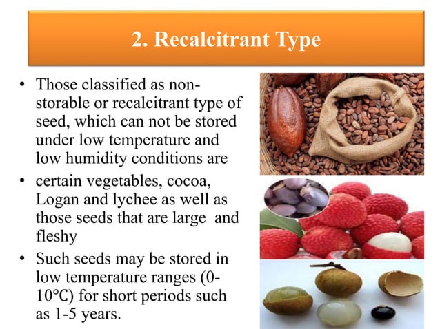 Seed processing and storage | PPTX
