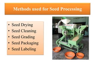 Seed processing and storage | PPTX