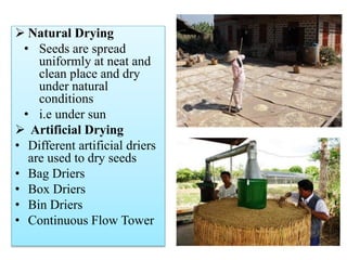 Seed processing and storage | PPTX