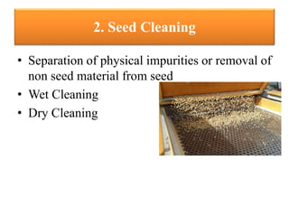 Seed processing and storage | PPTX