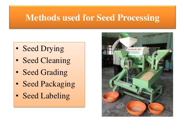 Seed processing and storage