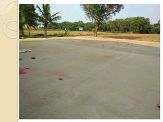 Plant design and building layout of seed processing unit | PPTX