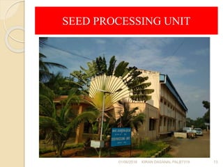 Plant design and building layout of seed processing unit | PPTX