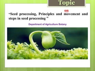 Seed processing, Principles and movement and steps in seed processing ...