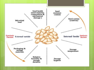 Seed processing, Principles and movement and steps in seed processing ...
