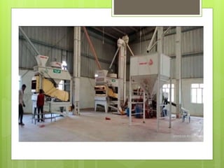 Seed processing, Principles and movement and steps in seed processing ...