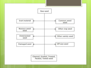 Seed processing, Principles and movement and steps in seed processing ...