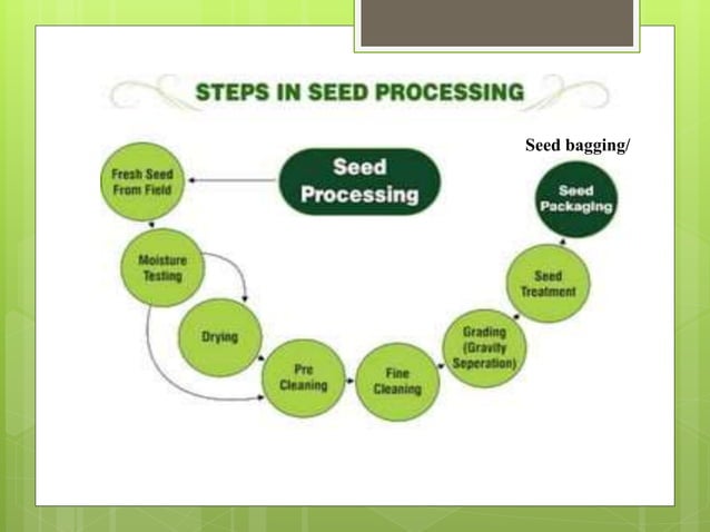 Seed processing, Principles and movement and steps in seed processing ...