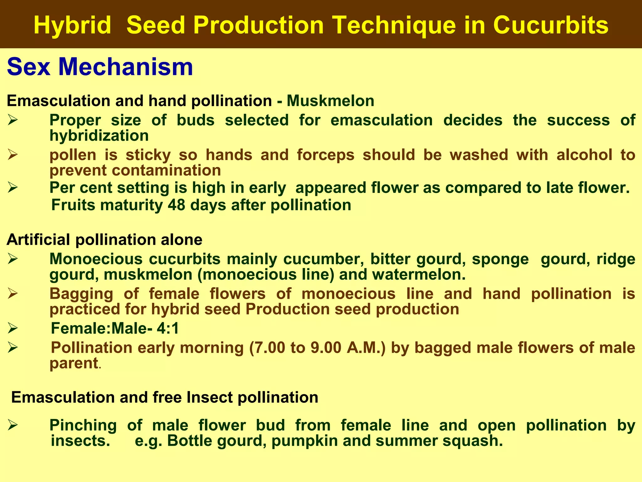 seed prodn of cucurbits.p.pdf