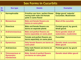 seed prodn of cucurbits.p.pdf