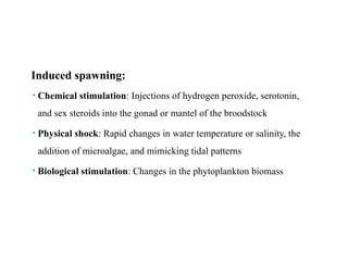 Seed production and breeding of pearl Oyster | PPT