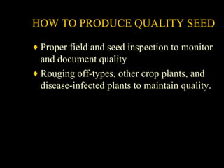 Seed production and quality control (fata presentation) By Mr Allah Dad ...