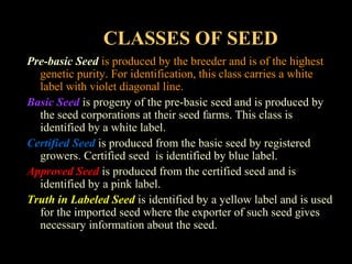 Seed production and quality control (fata presentation) By Mr Allah Dad ...