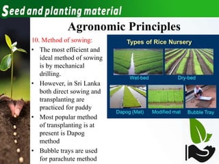 Seed production awareness programme for farmers | PPTX