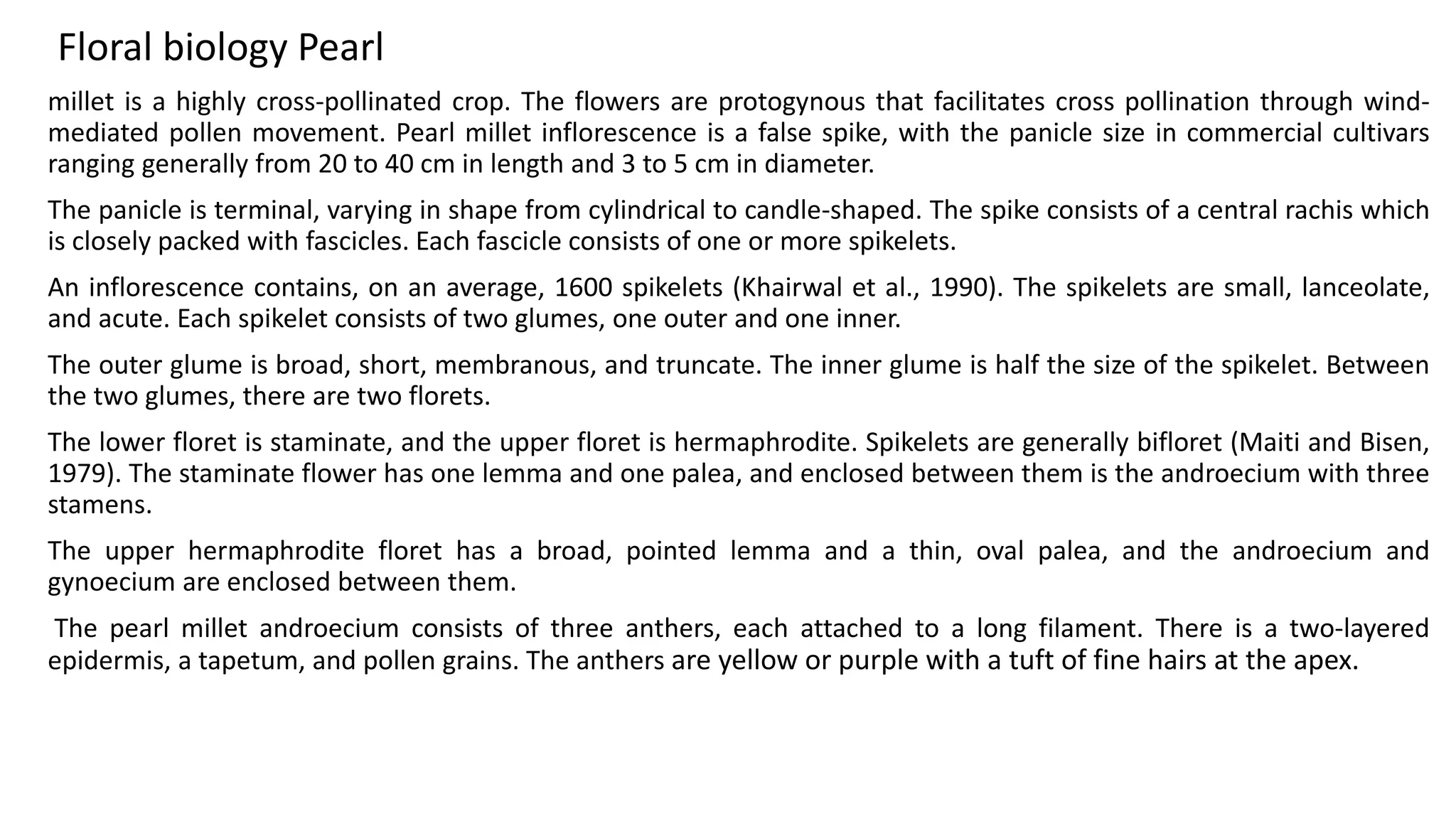Seed production bajra.pptx