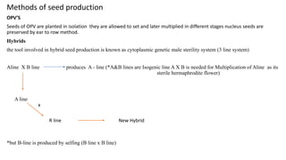 Seed production certified and foundation seed in paddy.pdf