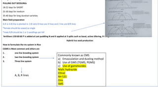Seed production certified and foundation seed in paddy.pdf