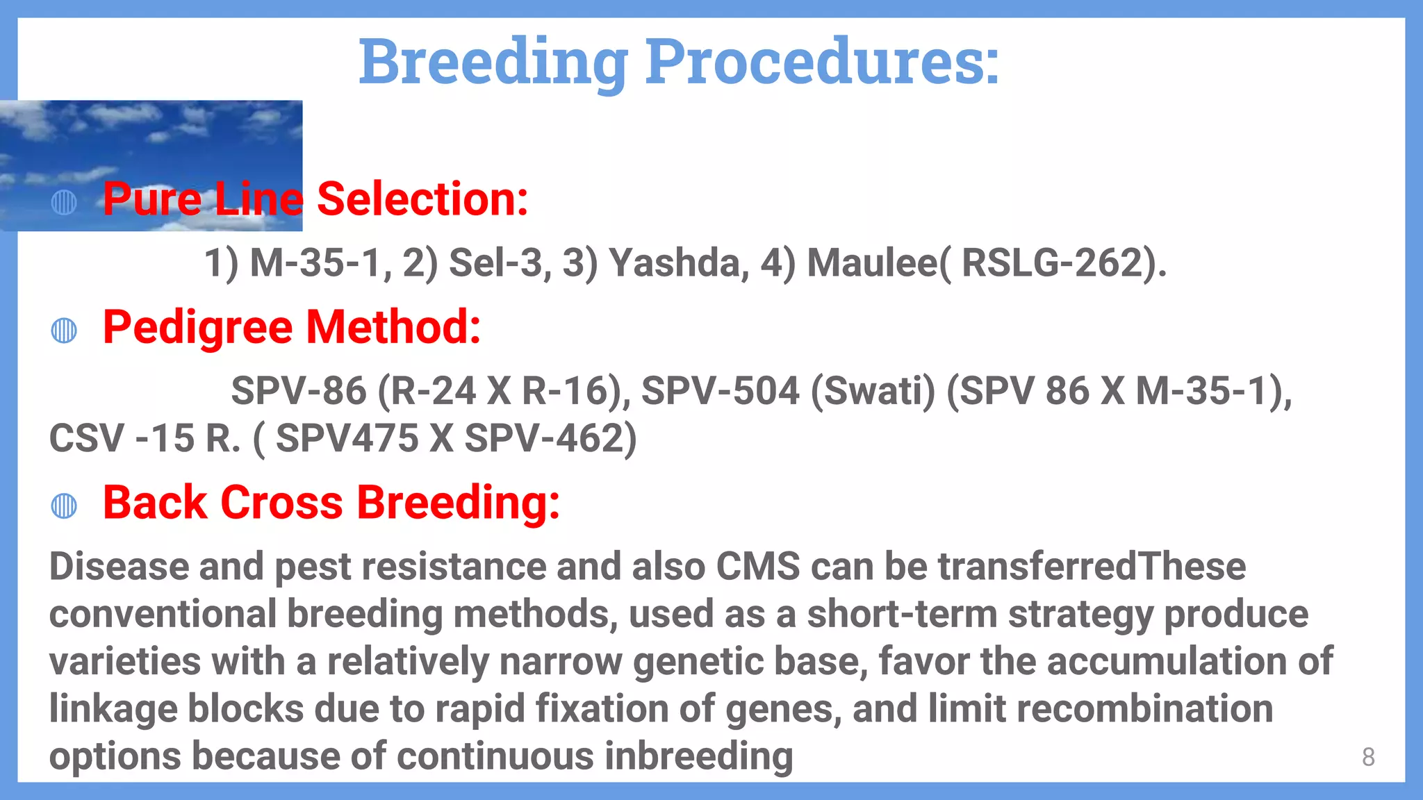 Seed production foundation and certified seed production in sorghum ...