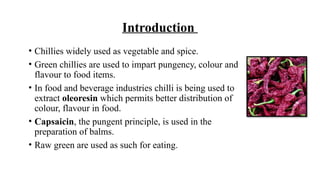 Seed production in Chilli (Capsicum annuum) | PPTX