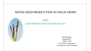 Varietal Seed Production technology in Kodo Millet | PPTX